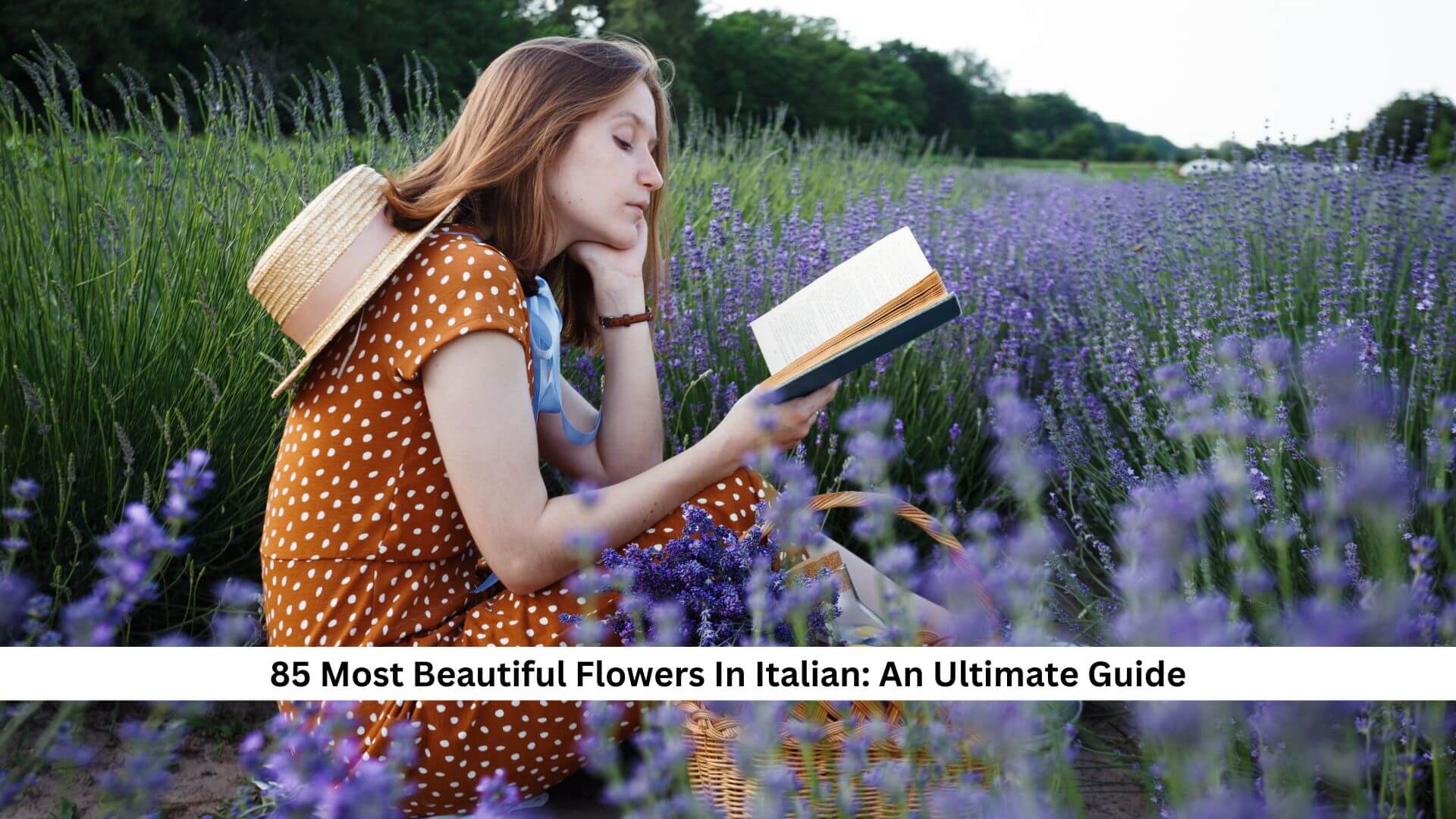 85 Most Beautiful Flowers In Italian: An Ultimate Guide
