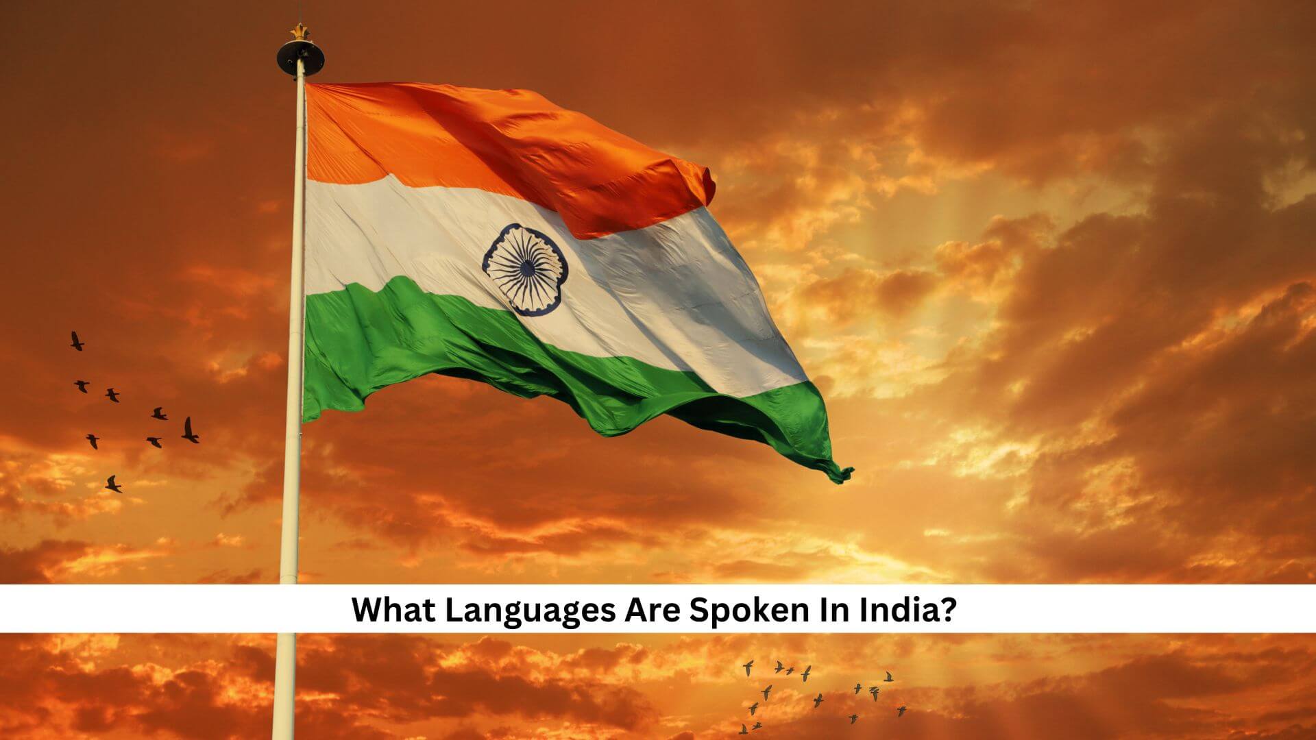 What Languages Are Spoken In India? An Ultimate Guide (2024)