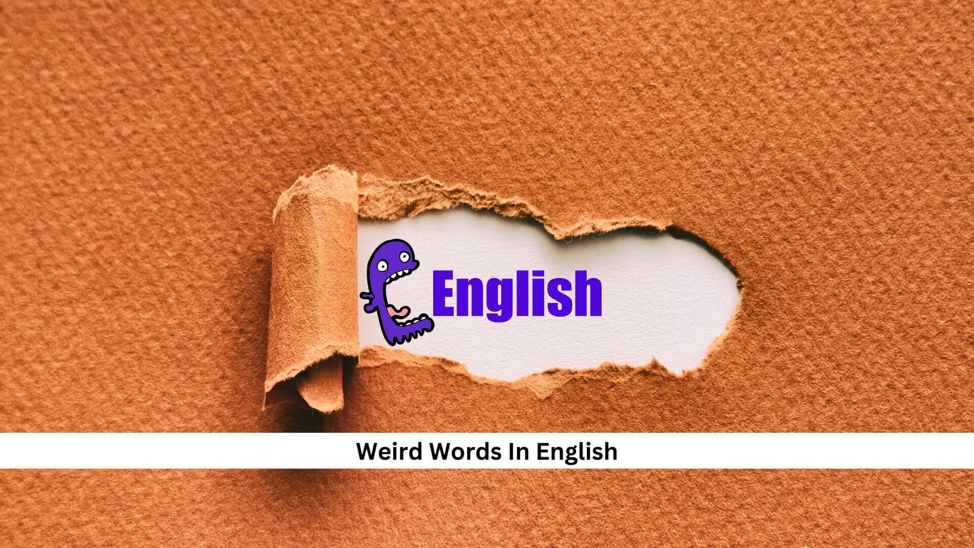 Weird Words In English: 80+ Must-Know Terms For Vocabulary Enthusiasts